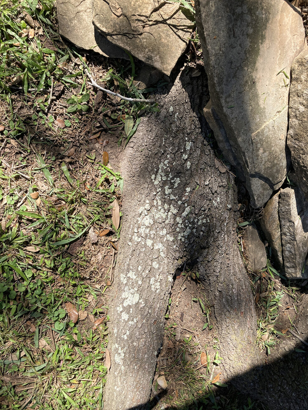 Root Barrier Material Information